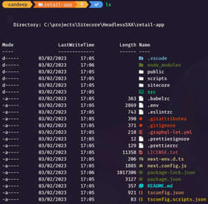Setup Sitecore Headless SXA with Next js - Sandeep Pote